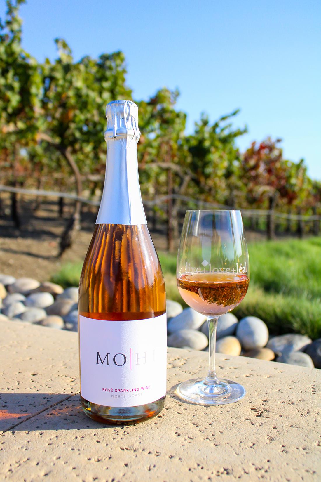 Wine Tasting in Morgan Hill, California | Léal